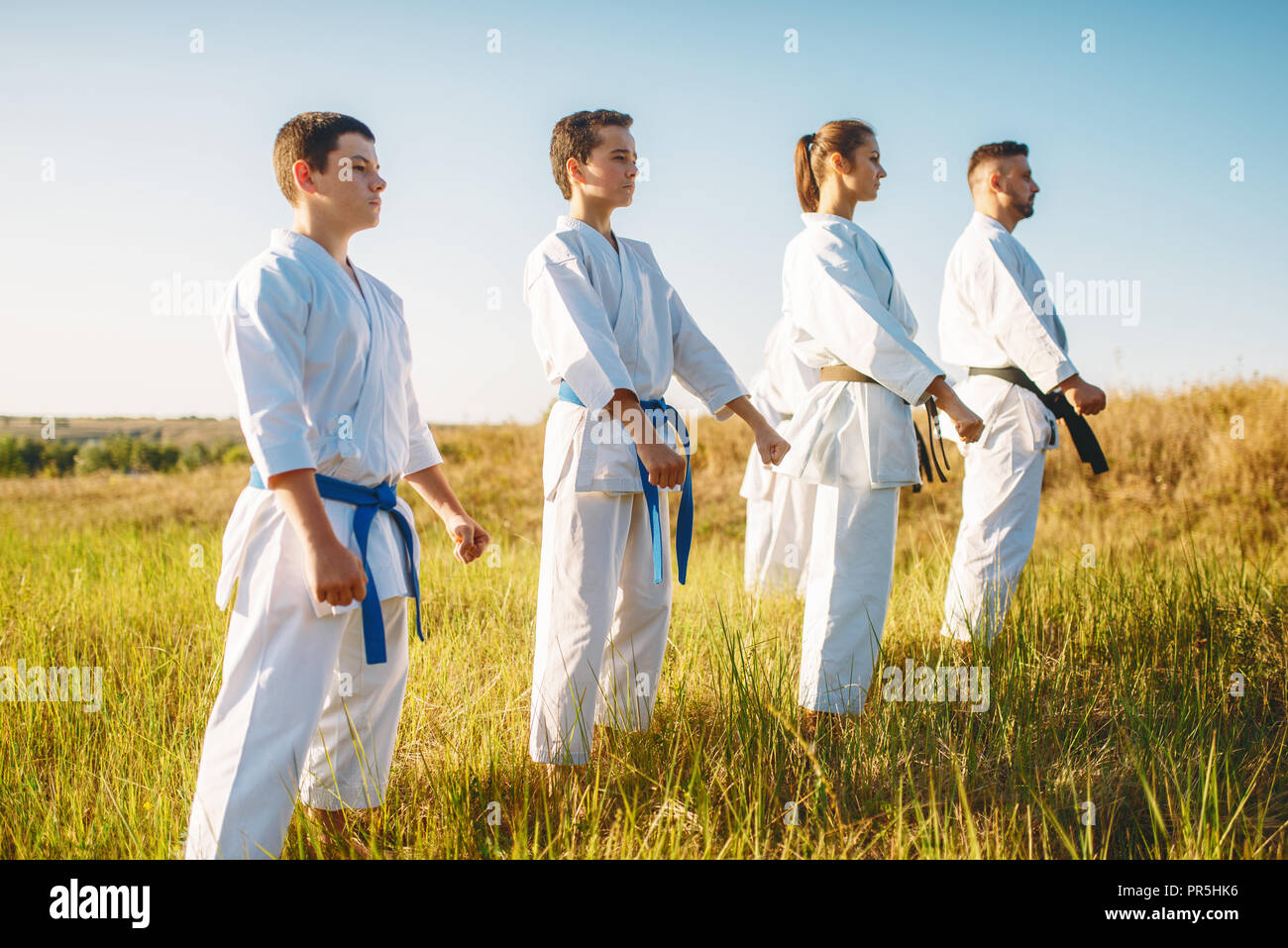 Karate group with master in white kimono, workout in summer field ...