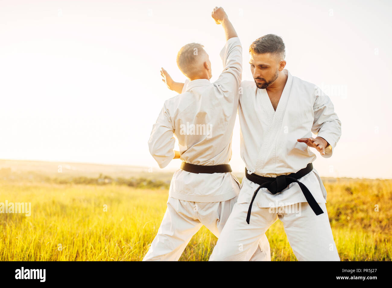 Two karate fighters, training fight in action, summer field on ...