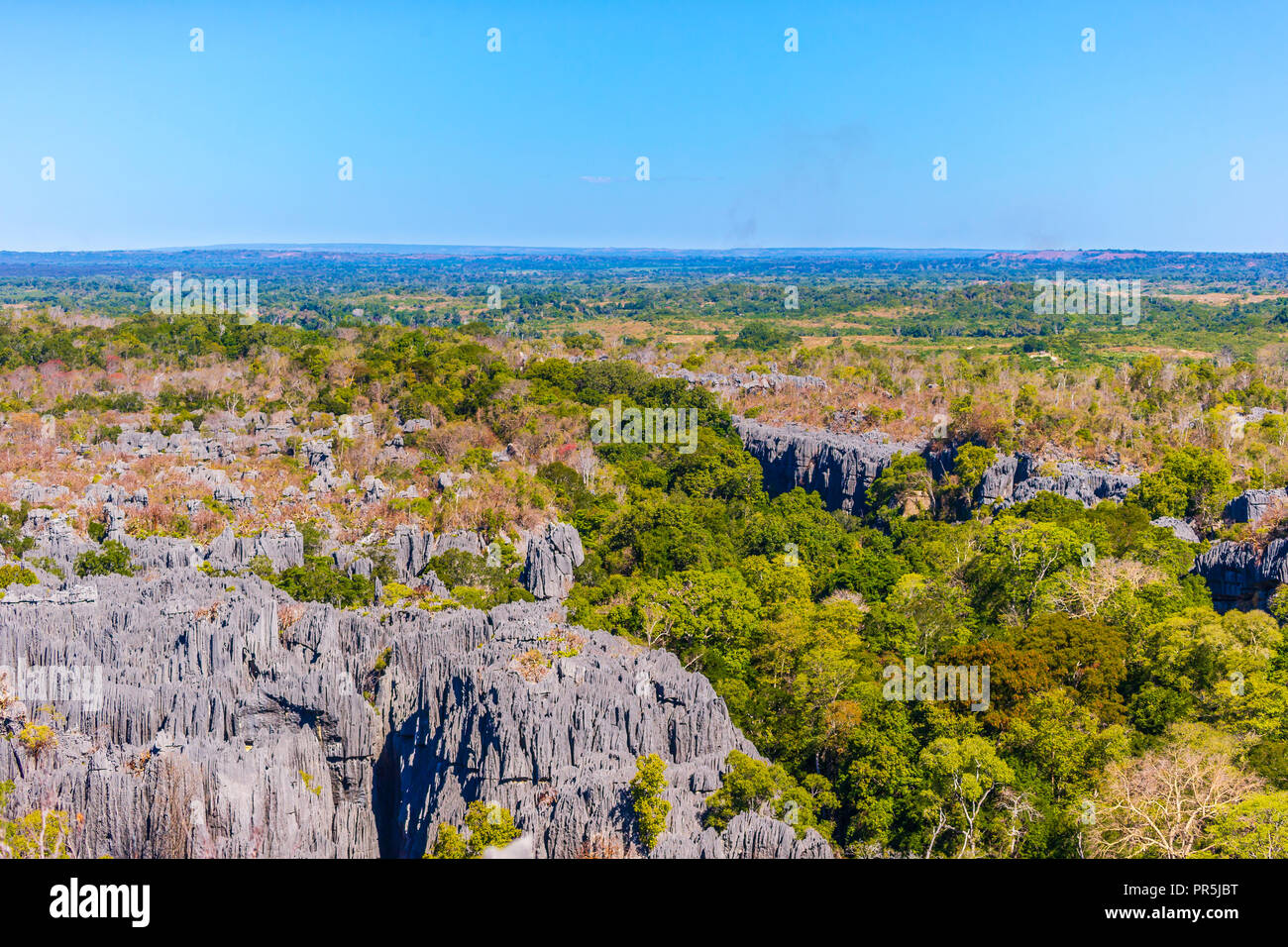 Beautiful view on the unique geography at the Tsingy de Bemaraha Stock ...