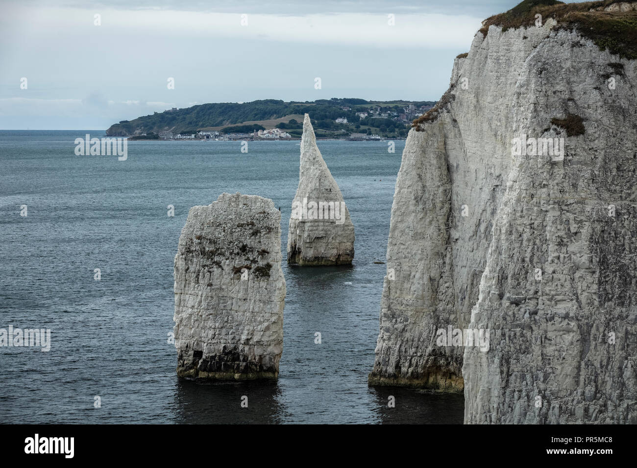 Old Harry Rocks in Dorset Stock Photo - Alamy