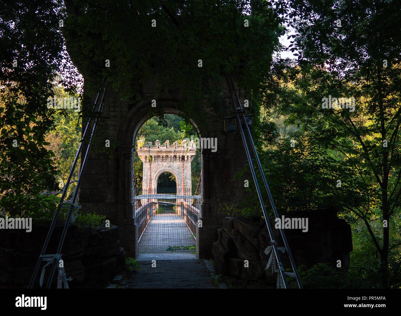 Abandoned historical suspension bridge, Nicolae Romanescu Park in ...
