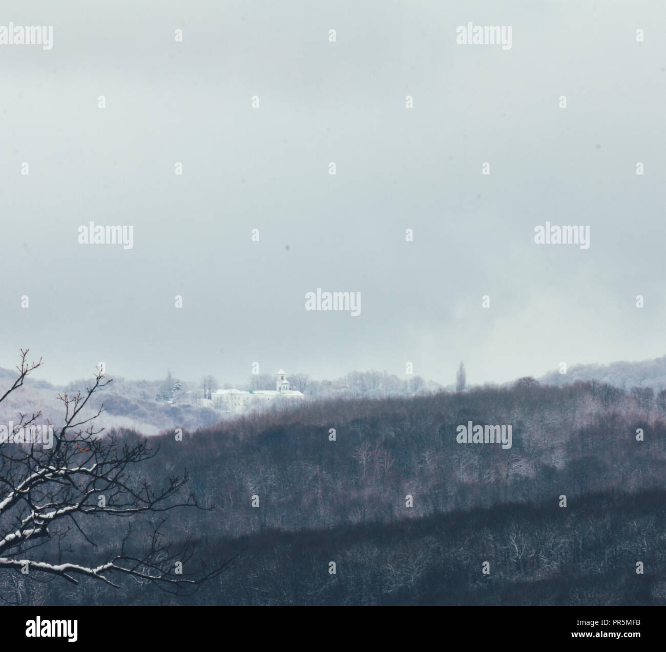 winter forest landscape with falling snow and views of the Orthodox ...