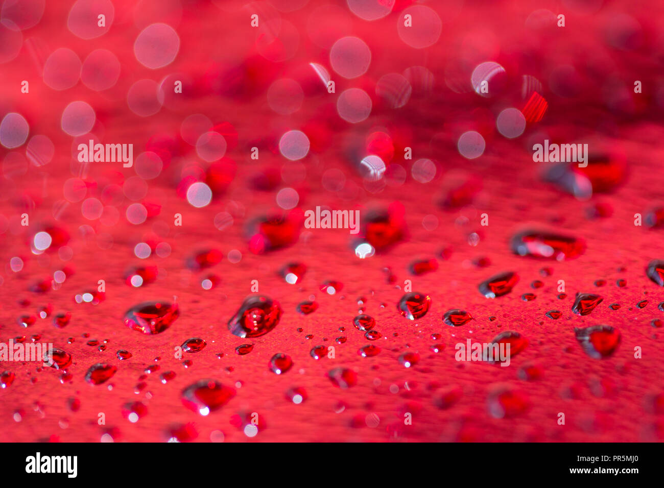 abstract red background with water drops, shallow depth of field Stock ...