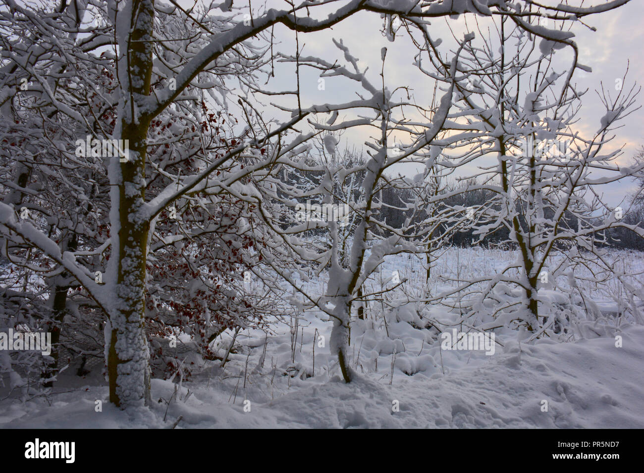 Weather and seasonal photography hi-res stock photography and images ...