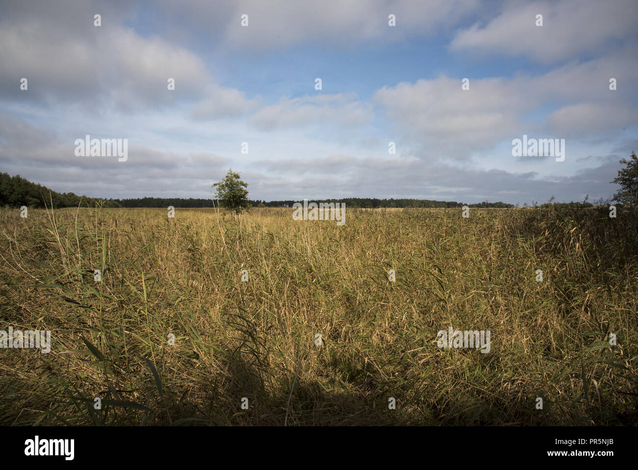 Darßer Ort is the Northern tip of the Darß peninsula in Northeastern ...