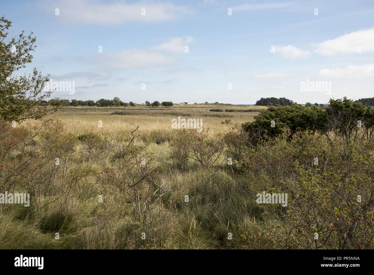 Darßer Ort is the Northern tip of the Darß peninsula in Northeastern ...
