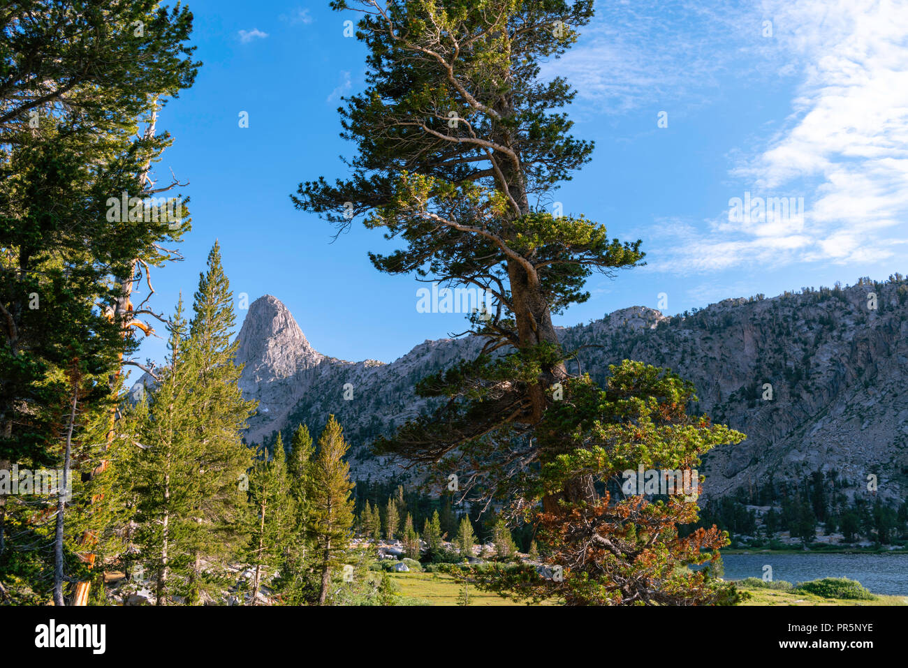 Fin muir hi-res stock photography and images - Alamy