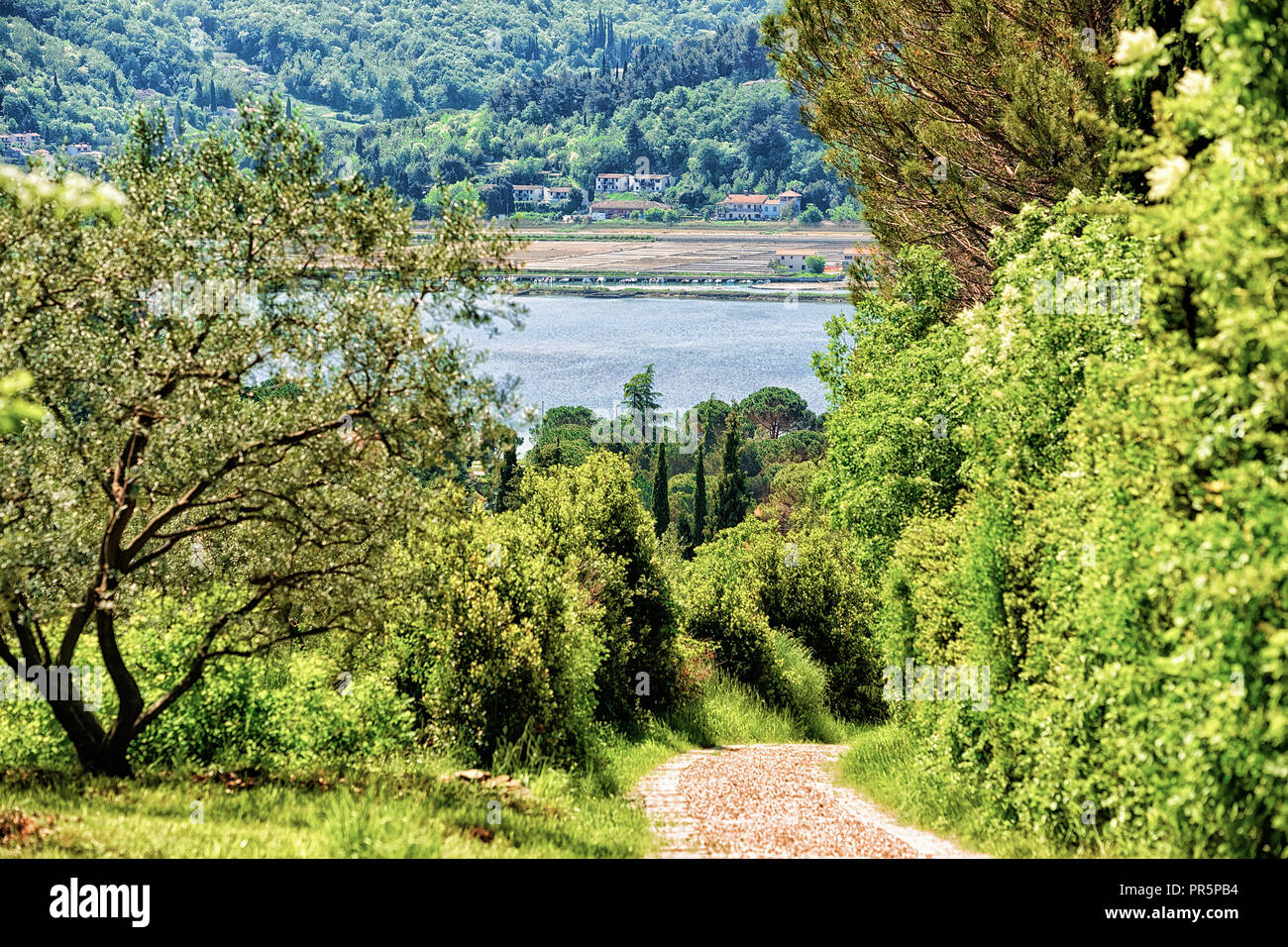 Strunjan peninsula hi-res stock photography and images - Alamy