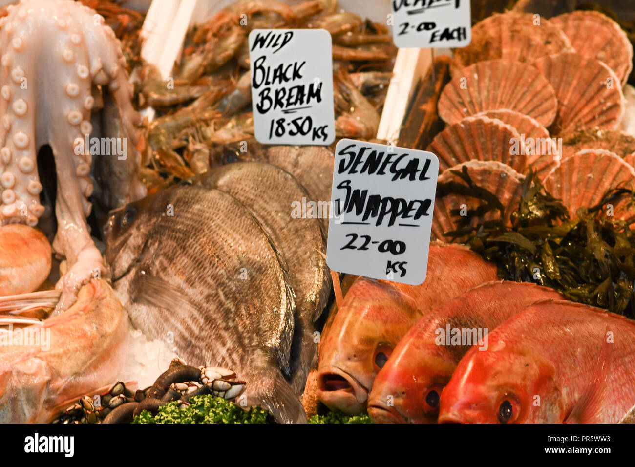 Red Snappers Market High Resolution Stock Photography and Images - Alamy