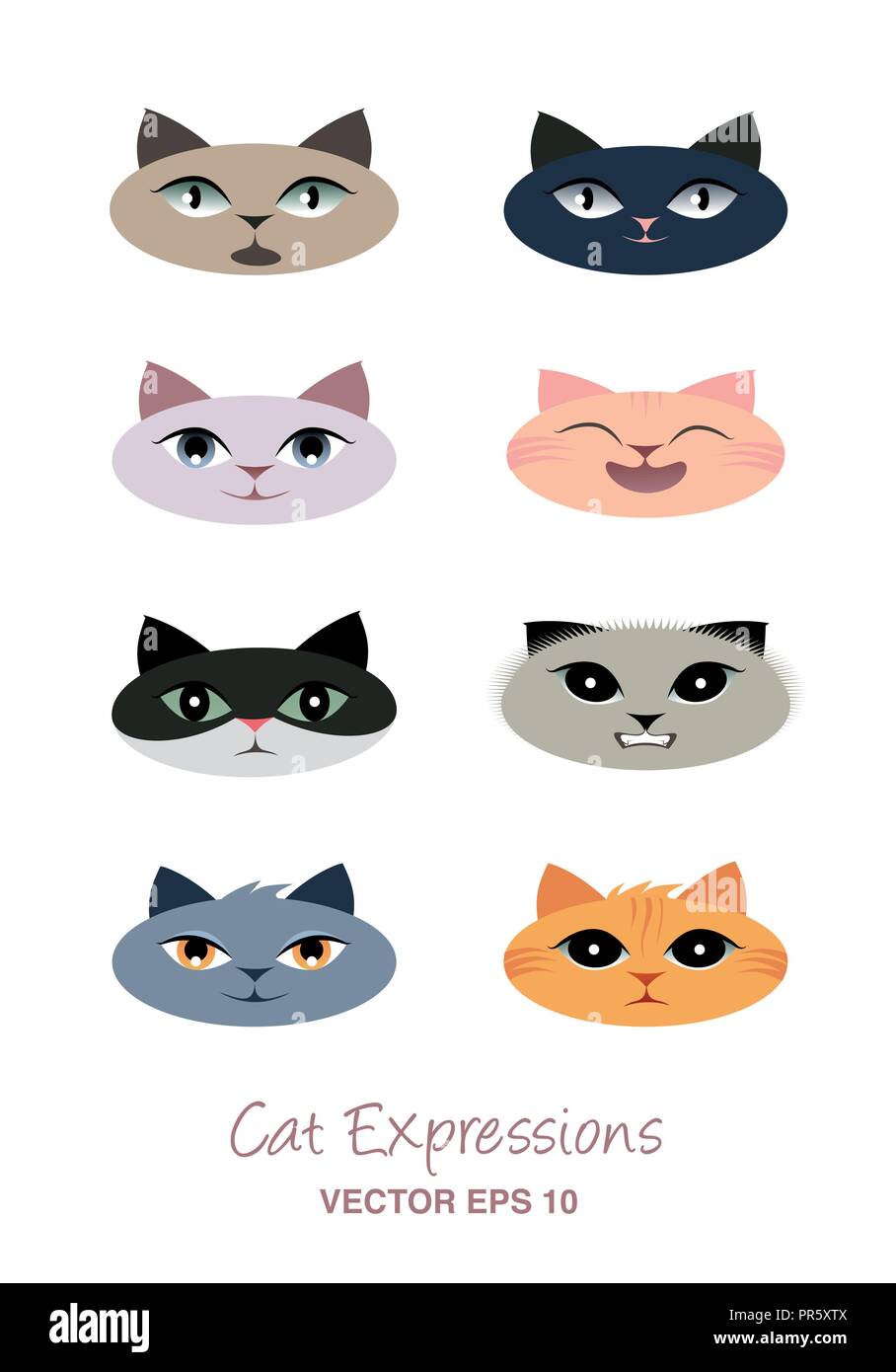 Cat expressions avatars. Cartoon style Stock Vector Image & Art - Alamy