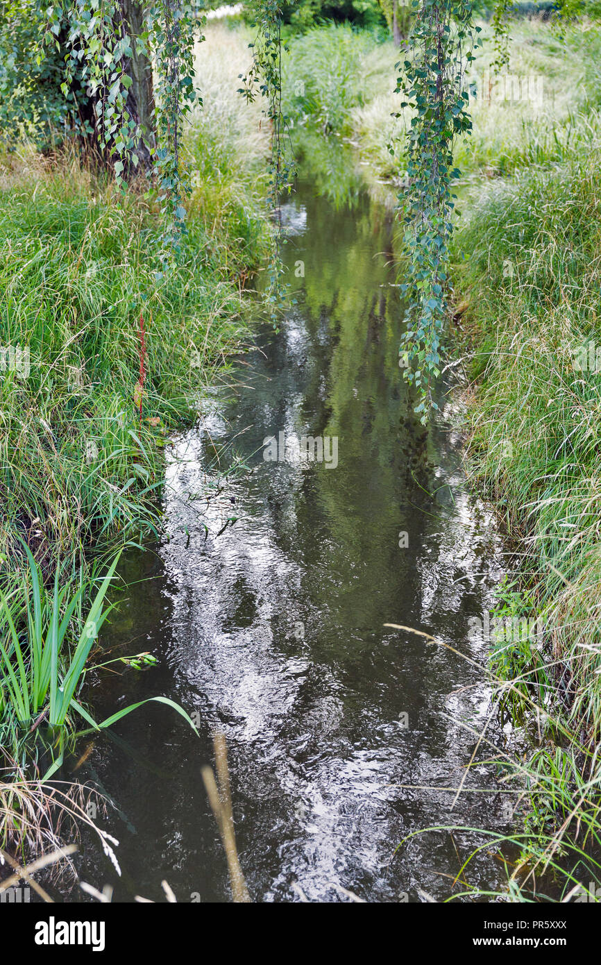 Small creek clear running water hi-res stock photography and images - Alamy