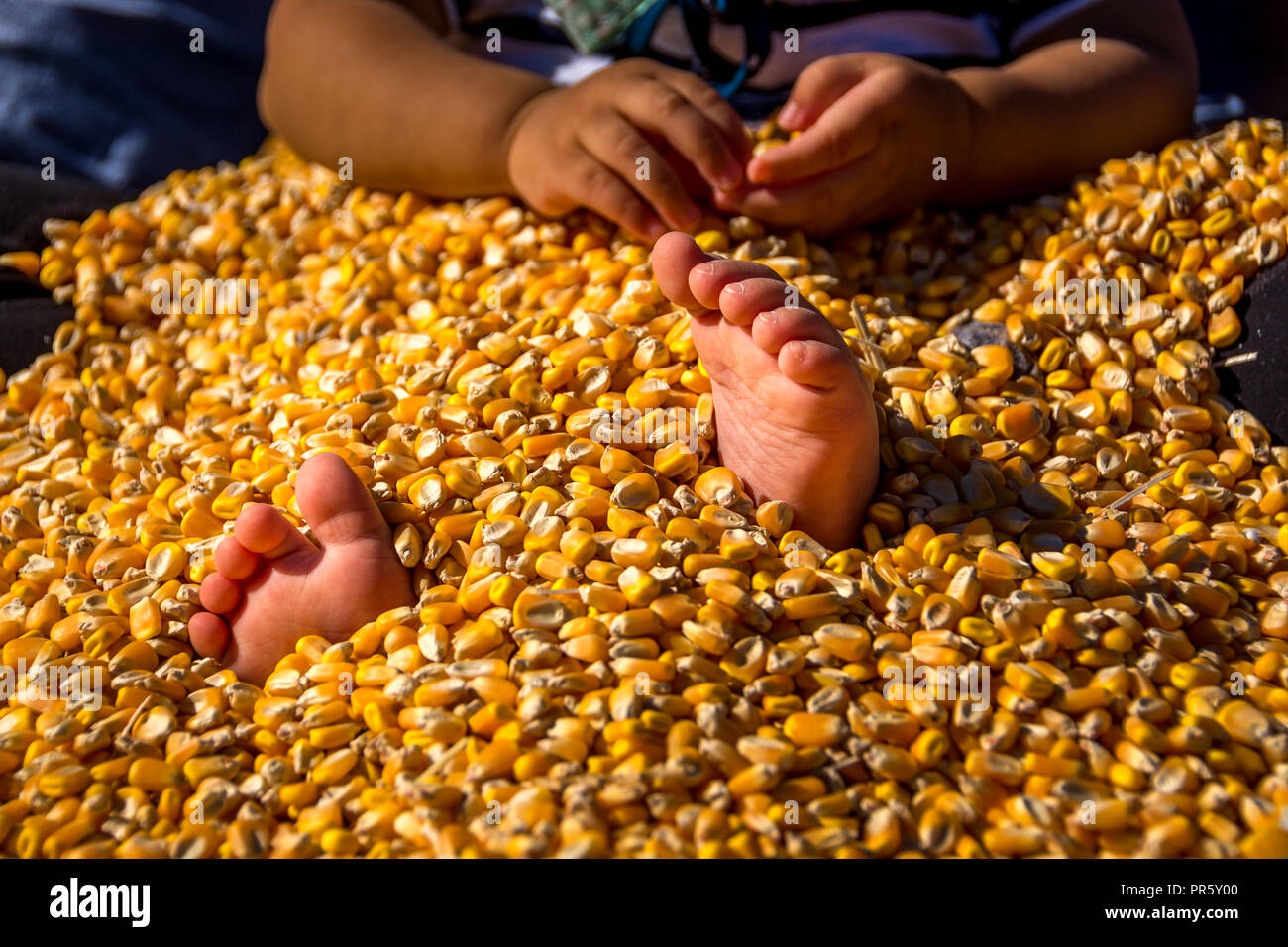Feet in corn bath hi-res stock photography and images - Alamy