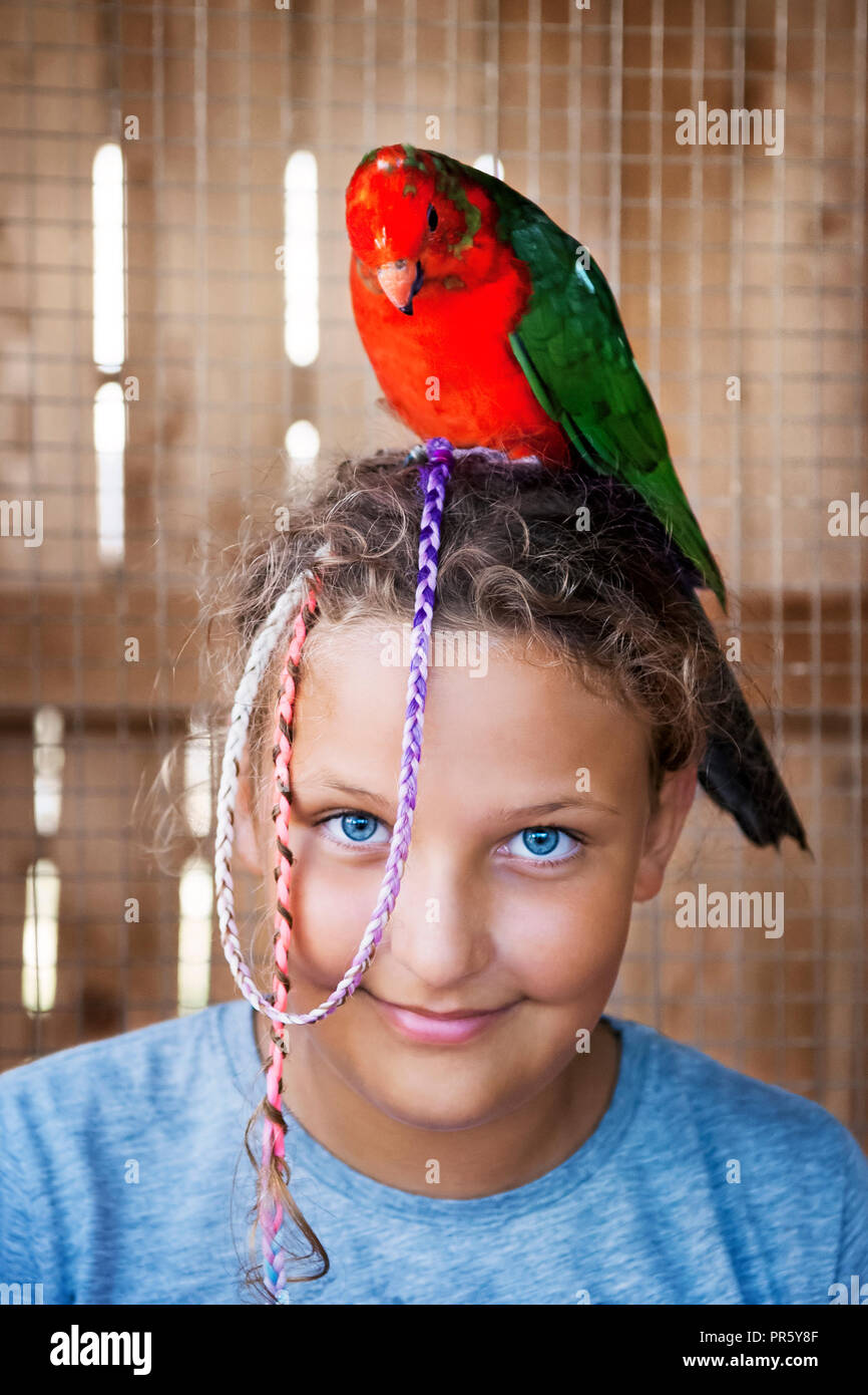 Girl With Parrot Stock Photos & Girl With Parrot Stock Images - Alamy