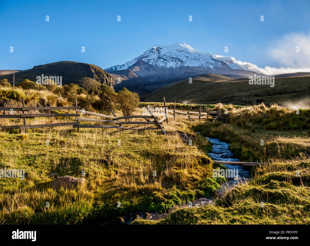 Chimborazo Volcano, Chimborazo Province, Ecuador Stock Photo - Alamy