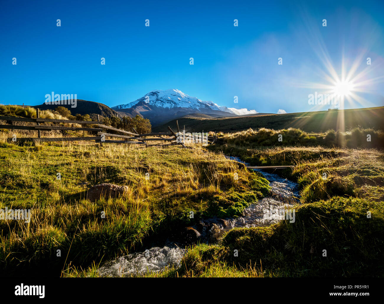 Chimborazo Volcano, Chimborazo Province, Ecuador Stock Photo - Alamy