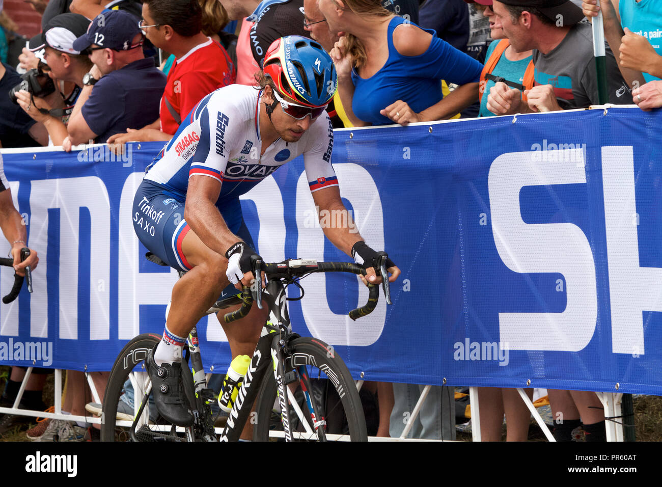 Virginia peter hi-res stock photography and images - Alamy