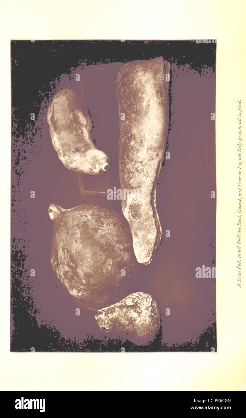 page 59 of 'The Chalk and Flint Formation, its origin in harmony with a ...