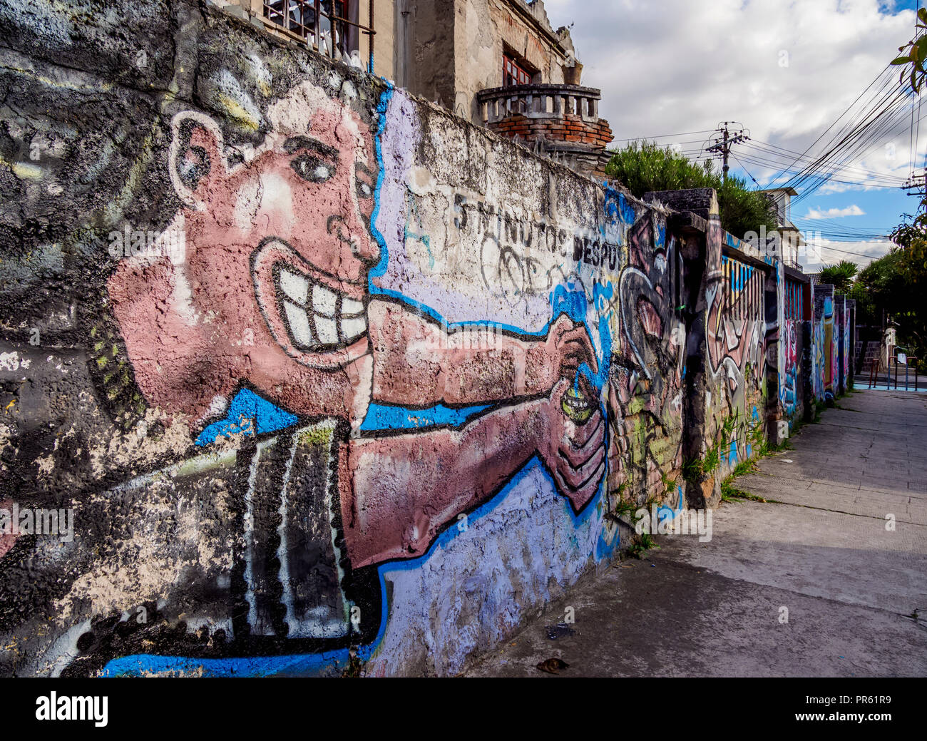 Street Art in La Floresta Neighbourhood, Quito, Pichincha Province ...