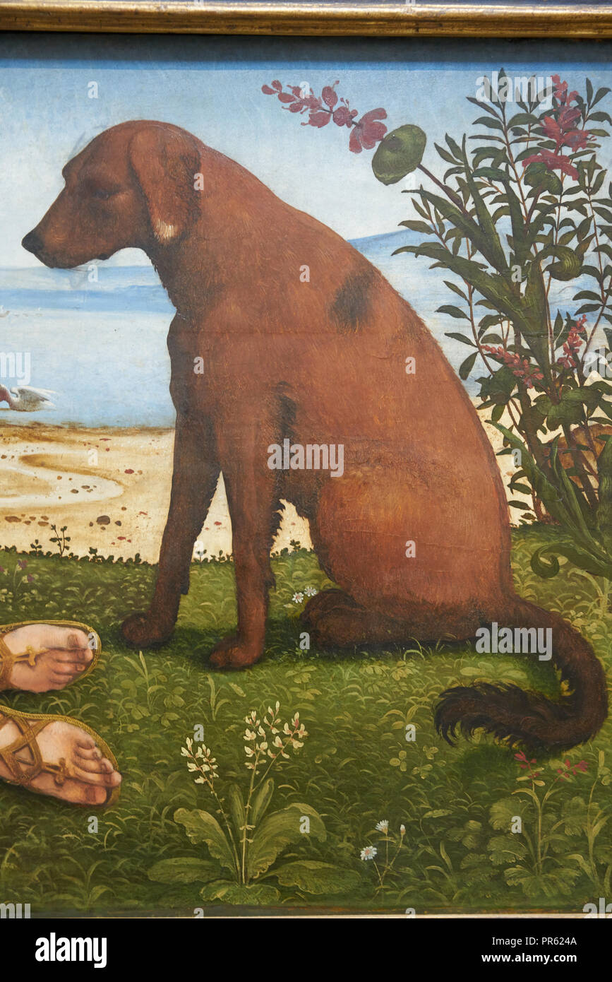 Piero di cosimo dog hi-res stock photography and images - Alamy