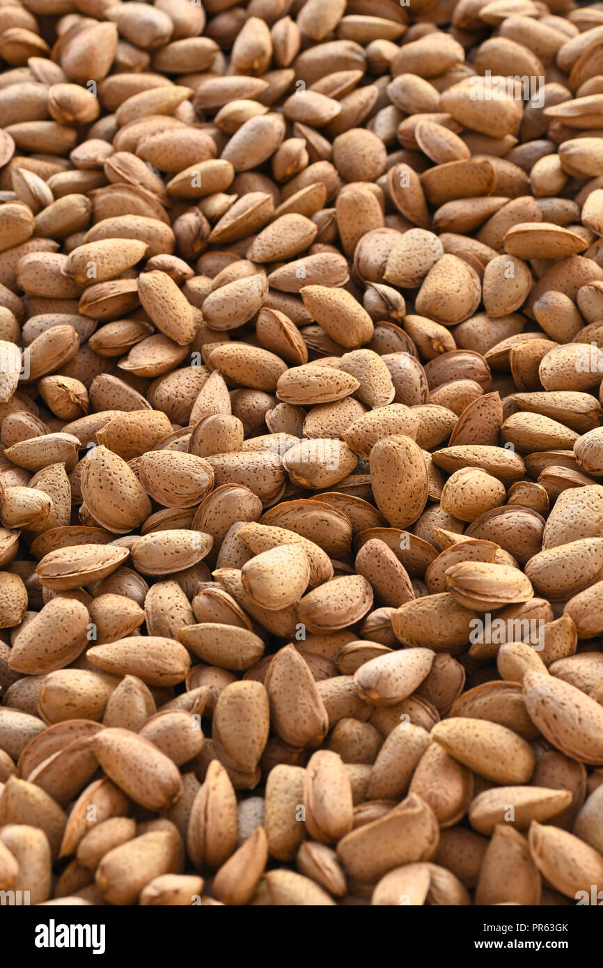 vertical image full frame shelled almonds image shot in selective focus ...
