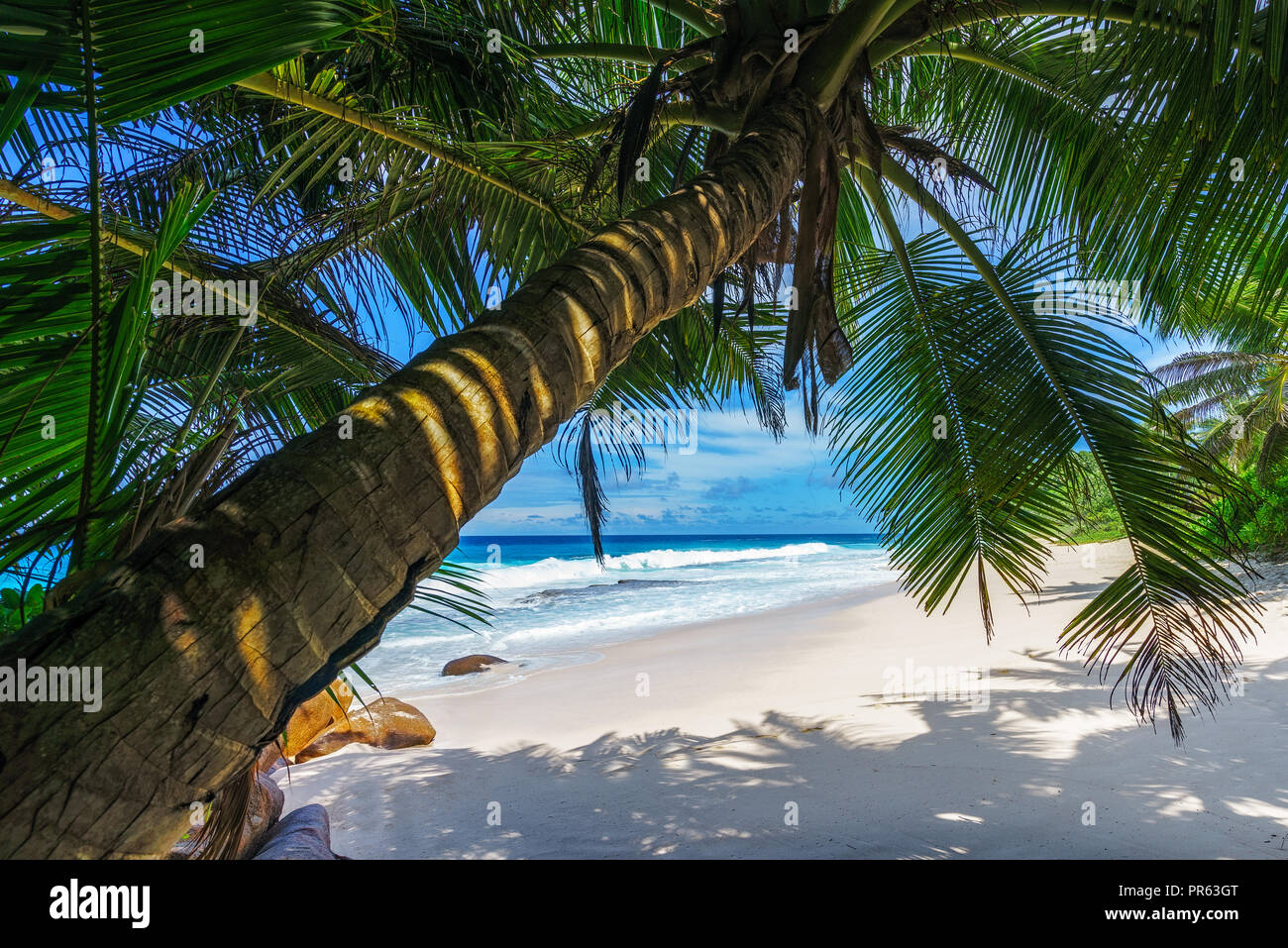 beautiful paradise beach with palm trees, granite rocks, white sand and ...