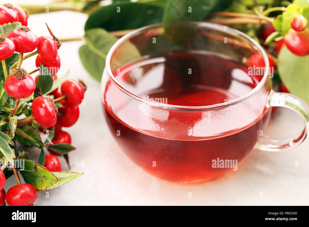Tea. cup of herbal Dog rose tea with bunch branch Rosehips, types Rosa ...