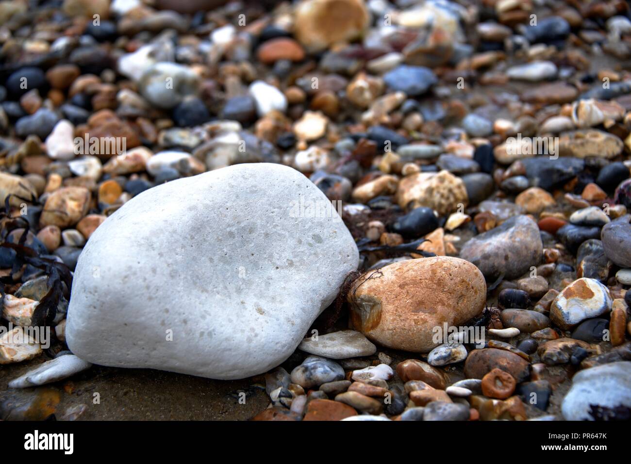 Pebbles on a beach Stock Photo - Alamy