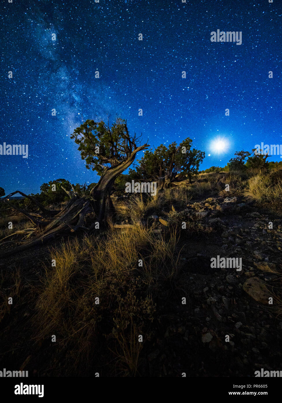 Night View in the Colorado National Monument Stock Photo - Alamy