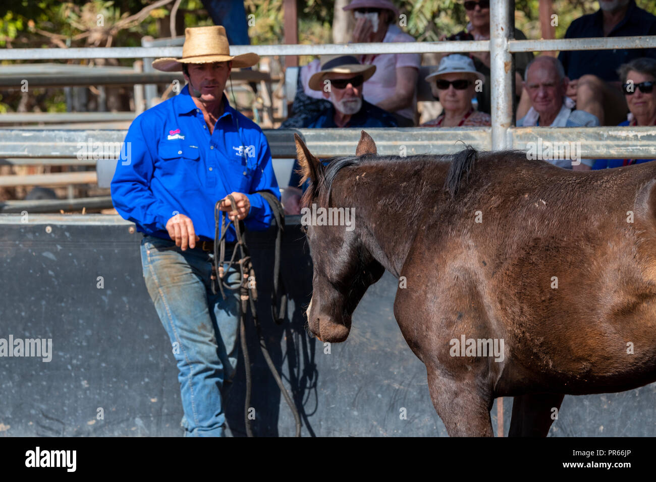Australia, Northern Territory, Katherine, Katherine Outback Experience ...