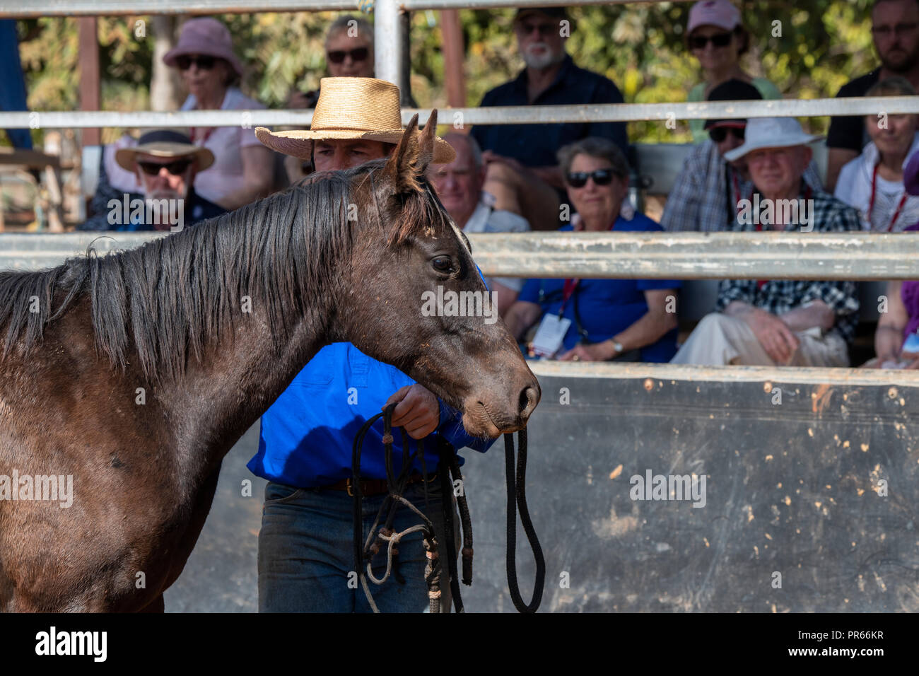 Australia, Northern Territory, Katherine, Katherine Outback Experience ...