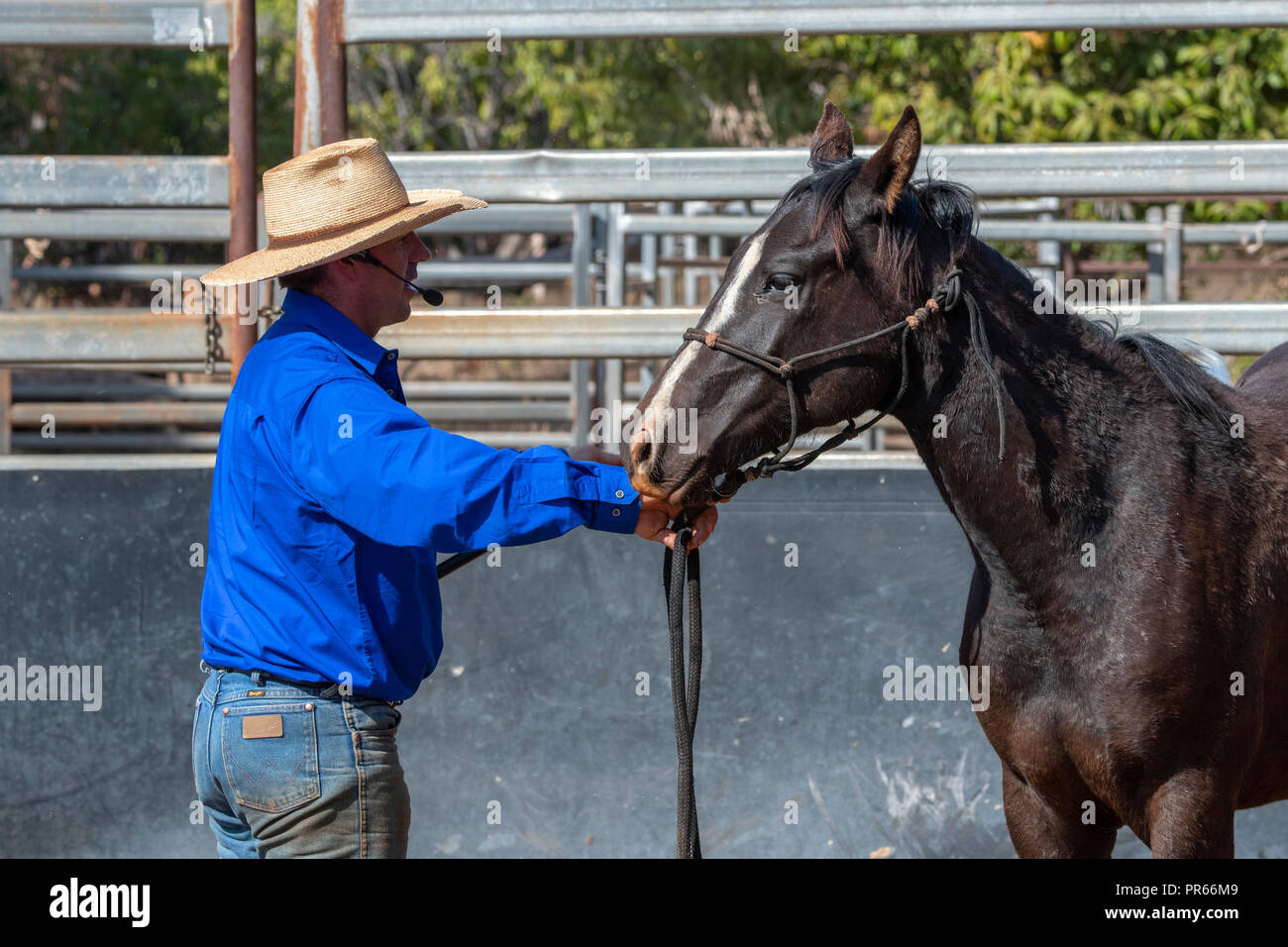 Australia, Northern Territory, Katherine, Katherine Outback Experience ...