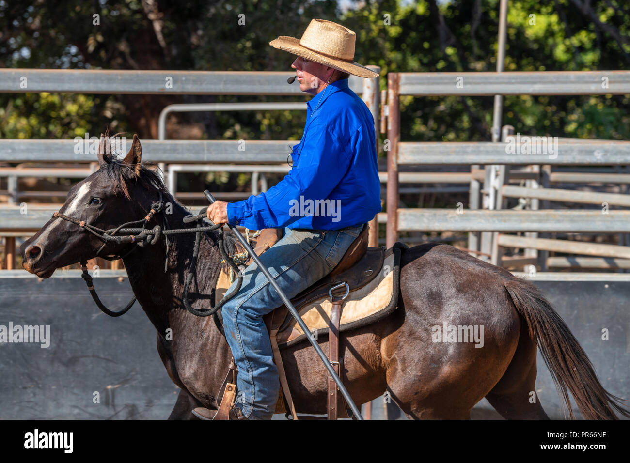Australia, Northern Territory, Katherine, Katherine Outback Experience ...