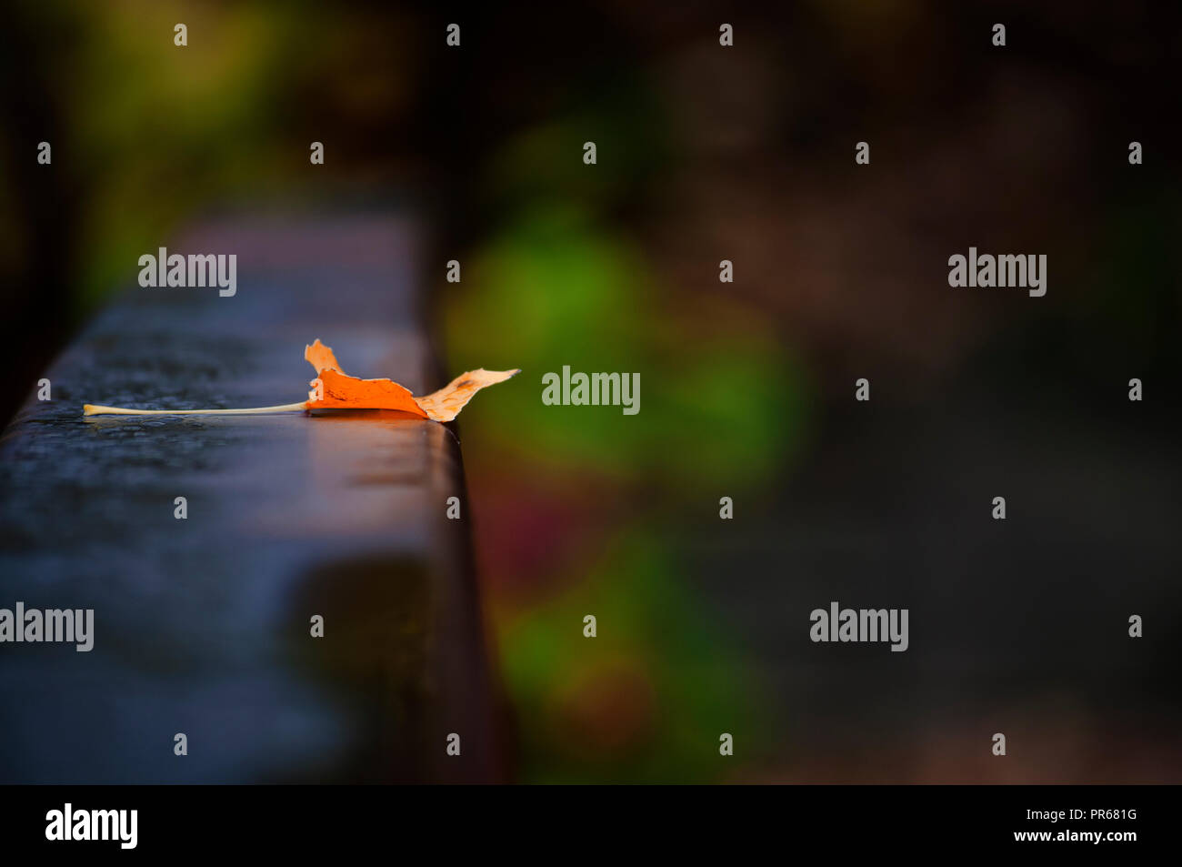 Resting place color hi-res stock photography and images - Alamy