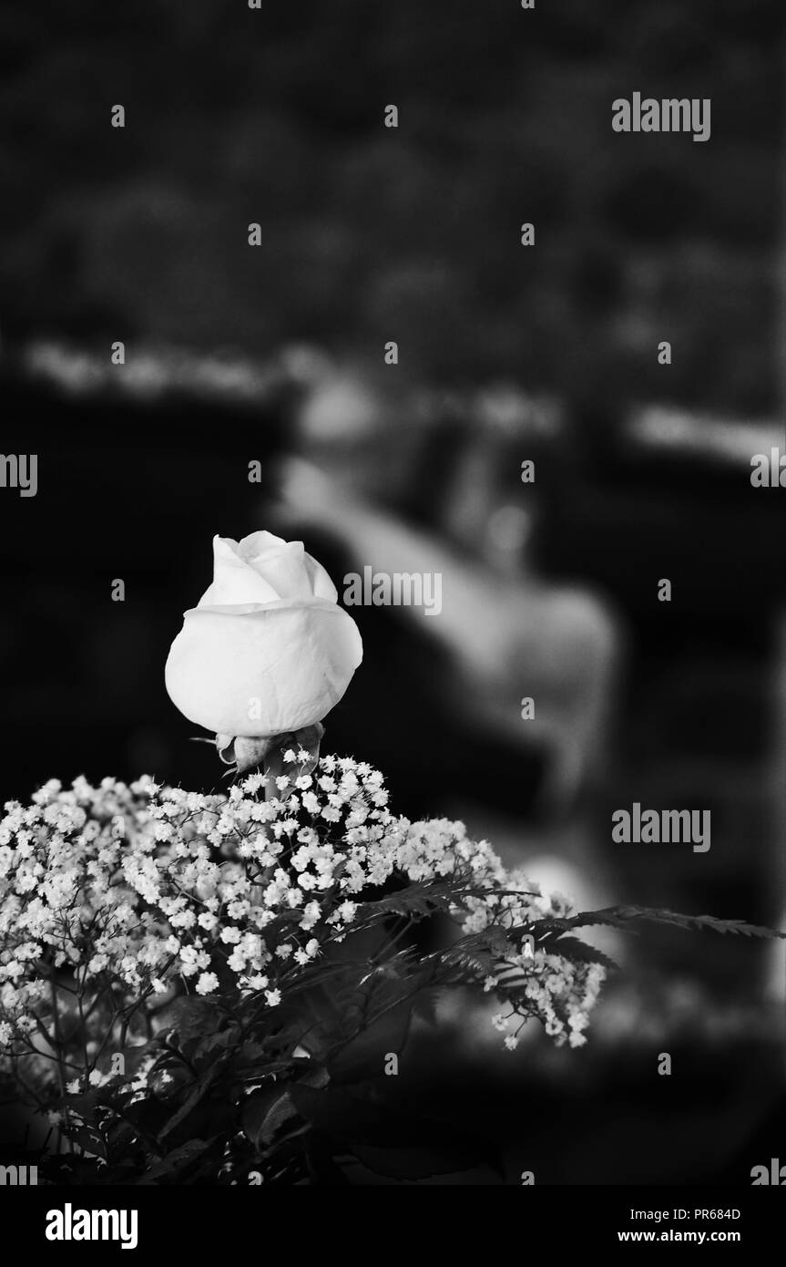 The true light Black and White Stock Photos & Images - Alamy