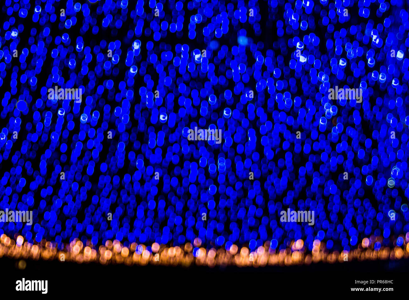Blue mantle hi-res stock photography and images - Alamy