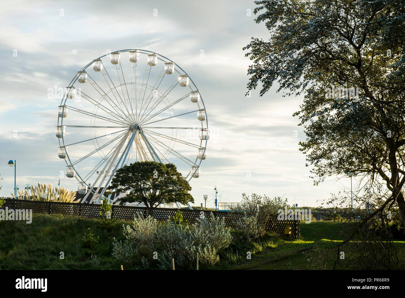 Early morning and the "Skegness Eye" Ferris Wheel near seafront is lit ...