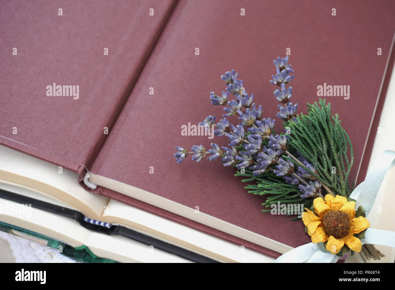 Rip logo design hi-res stock photography and images - Alamy