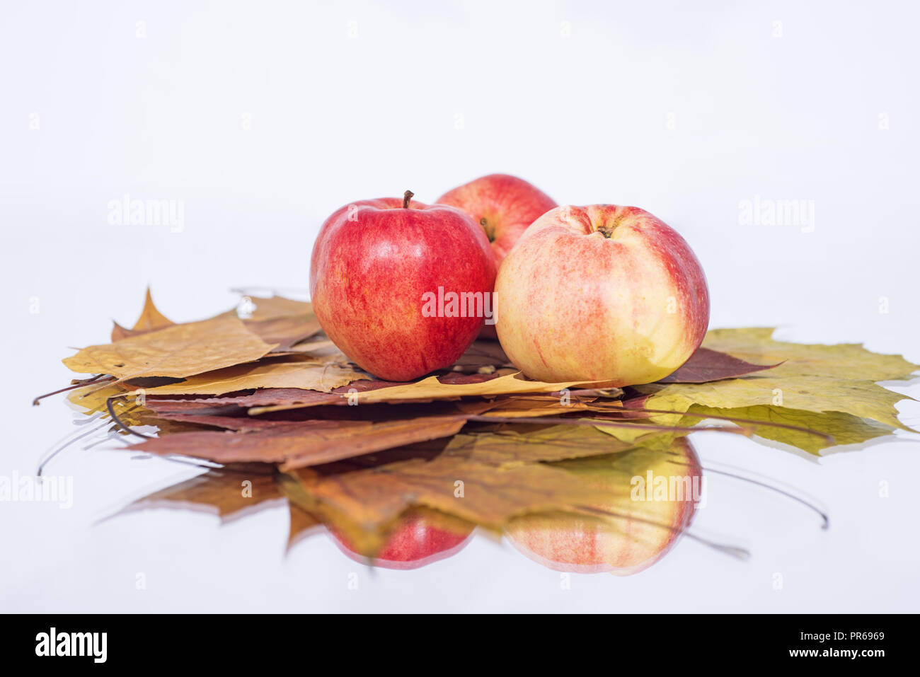 Three apples on table with reflection. Autumn abstract photo Stock ...