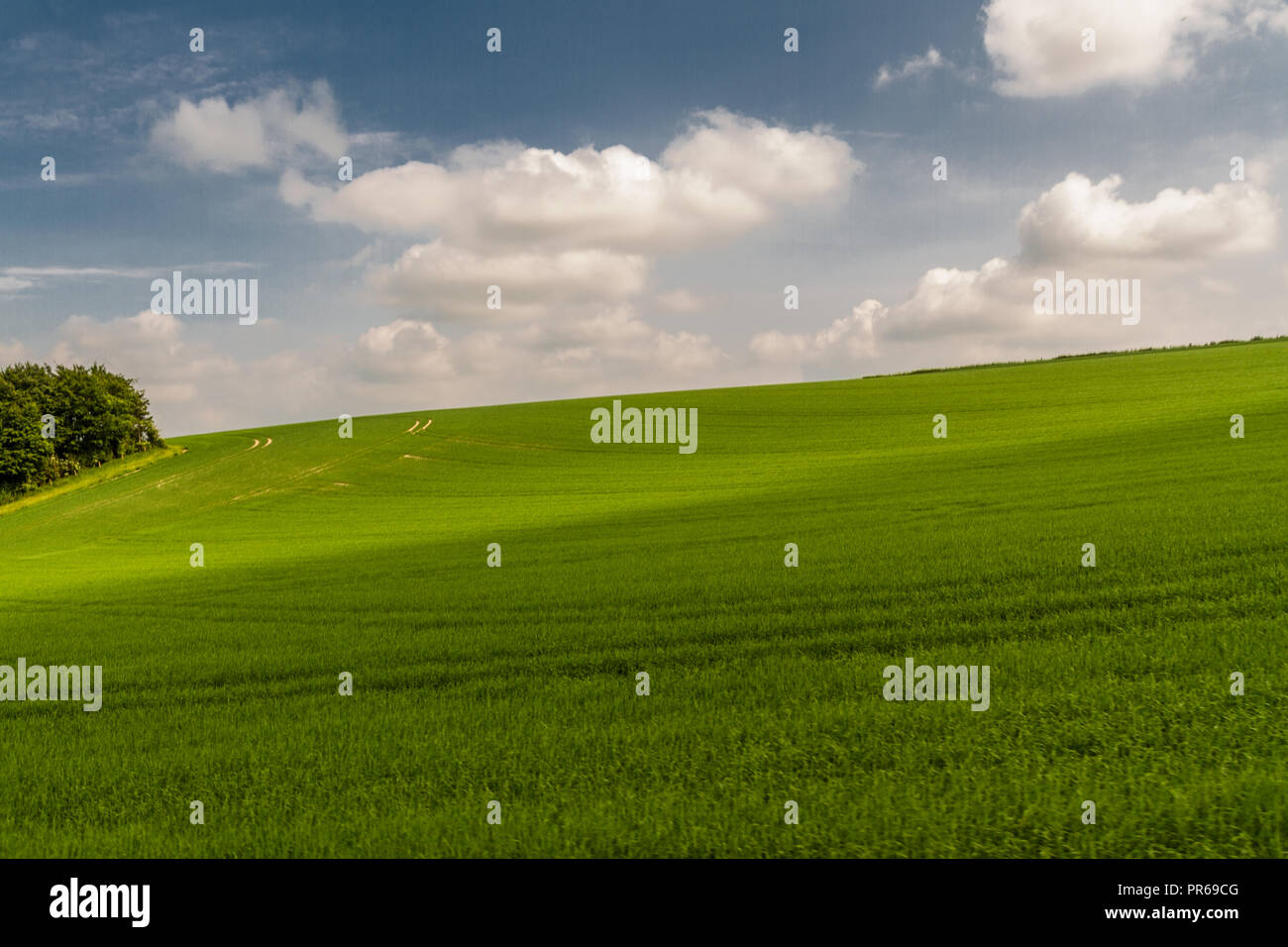 Rolling fields and meadows, English Coutryside Stock Photo - Alamy