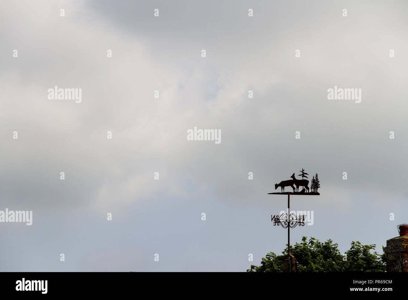 Weather vane with cloud background forming copyspace Stock Photo - Alamy
