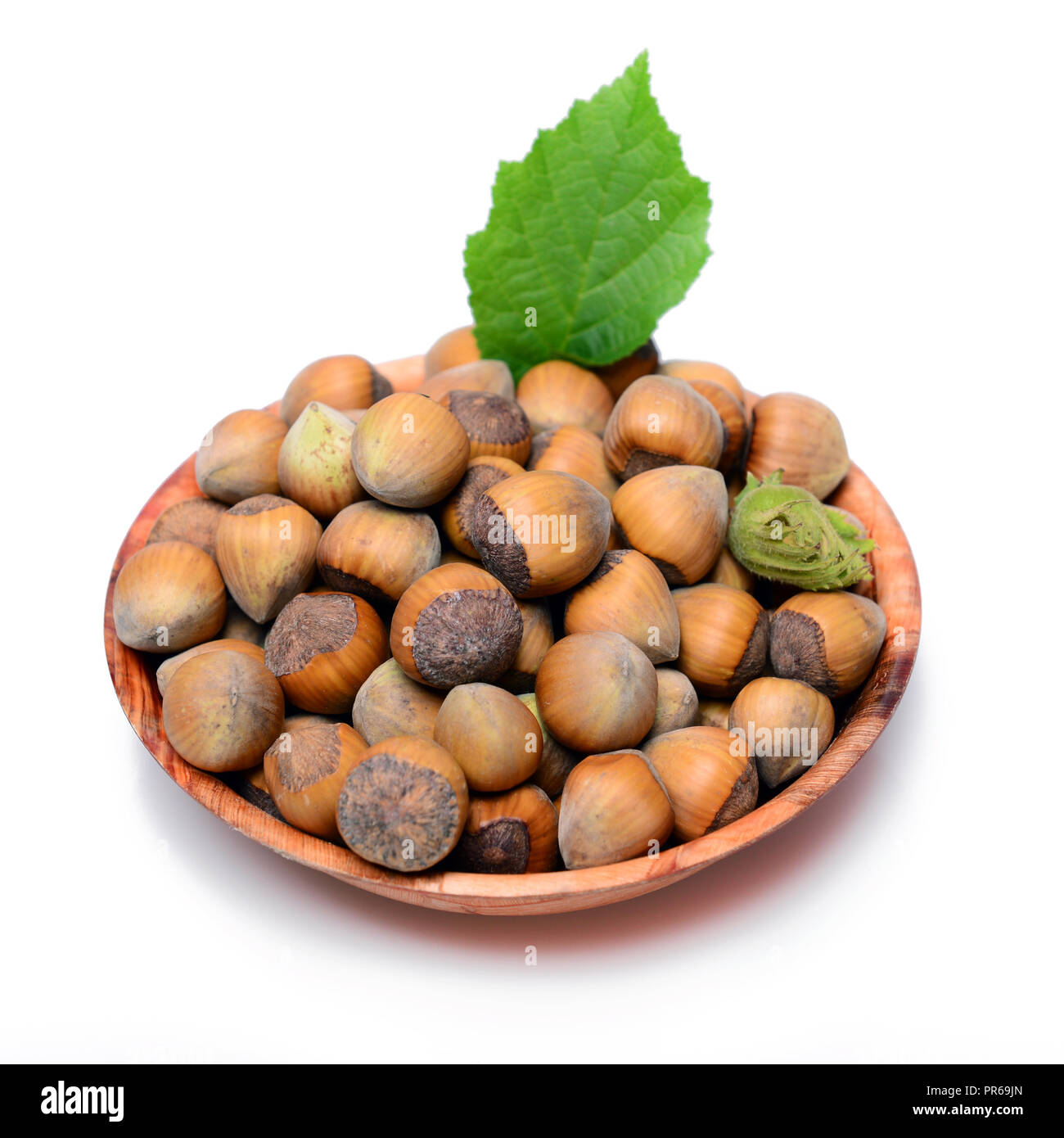 Hazel wood Cut Out Stock Images & Pictures - Alamy