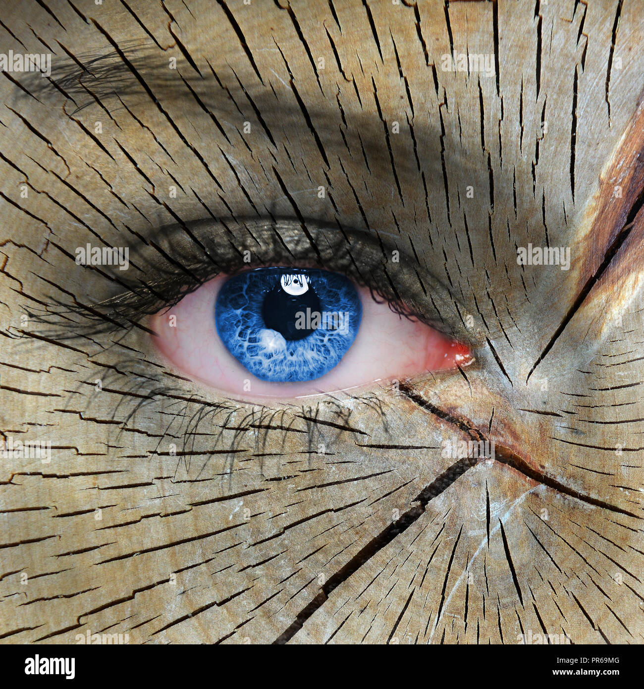 Human face close up hi-res stock photography and images - Alamy