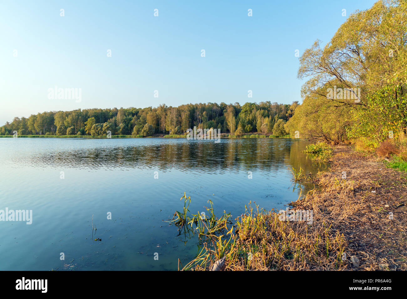 The beautiful natural landscape of a fishing lake in sunset lighting ...