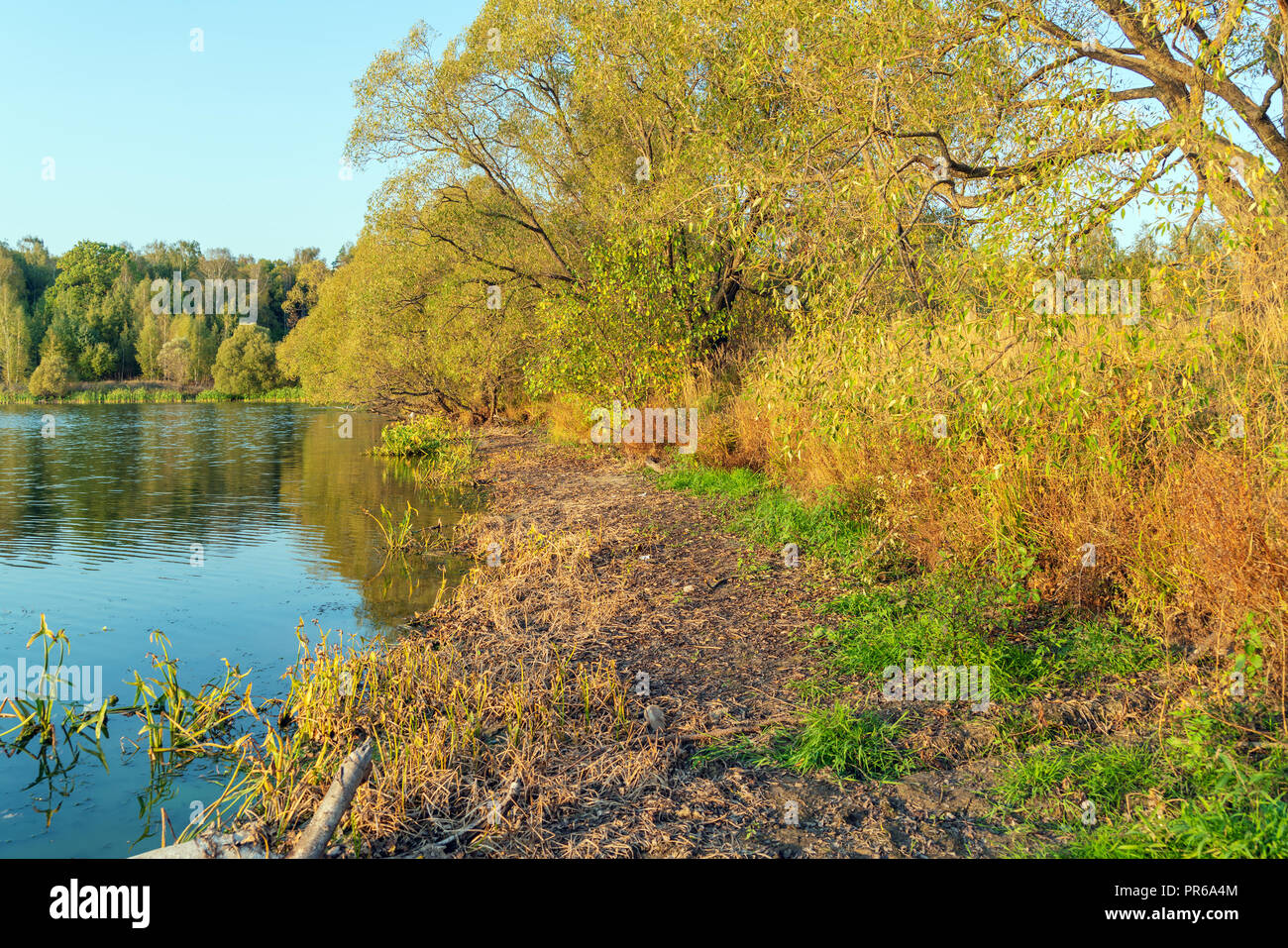 The beautiful natural landscape of a fishing lake in sunset lighting ...