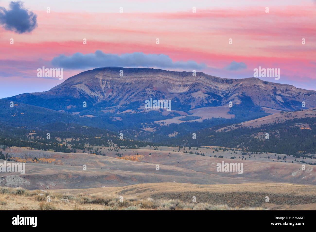 Alder montana hi-res stock photography and images - Alamy