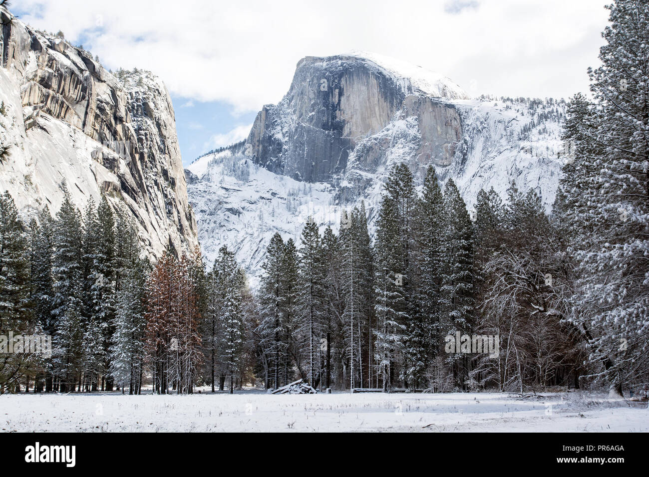 Half summer half winter hi-res stock photography and images - Alamy