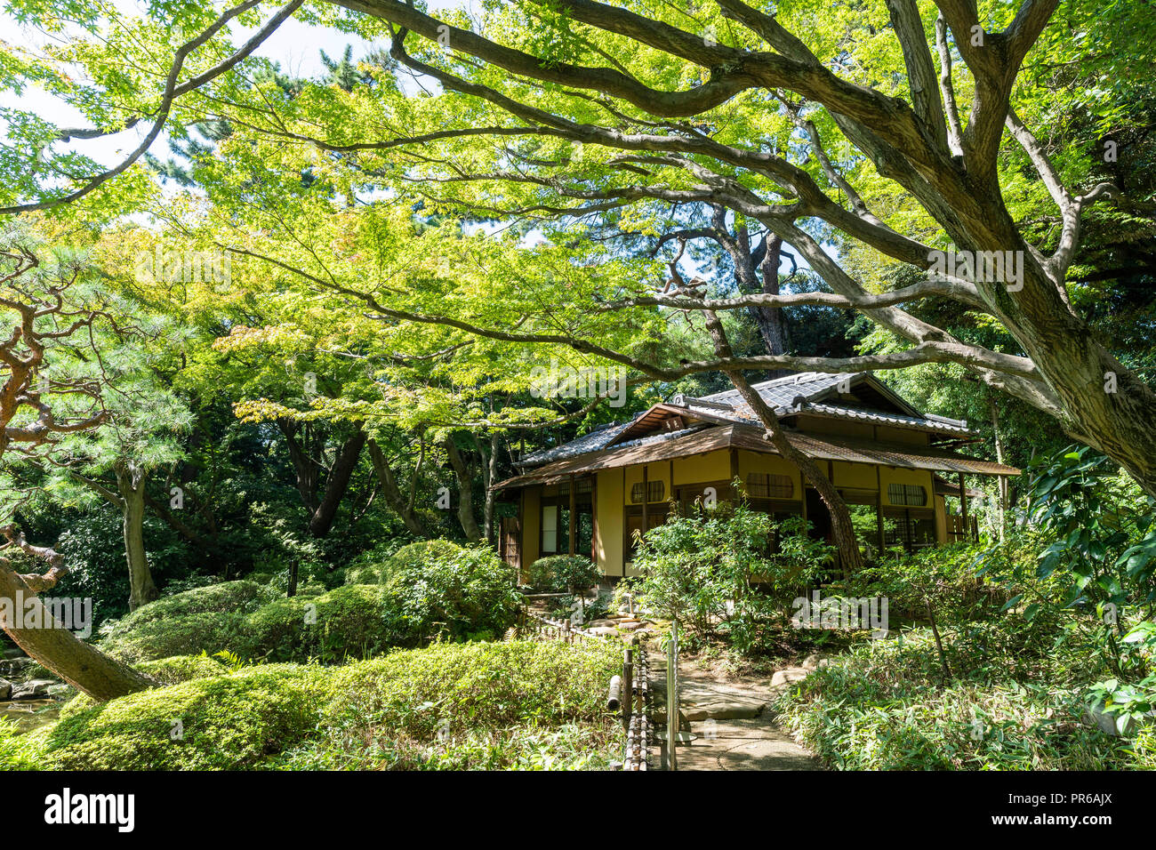 Tokyo Metropolitan Teien Art Museum, Minato-Ku, Tokyo, Japan Stock ...