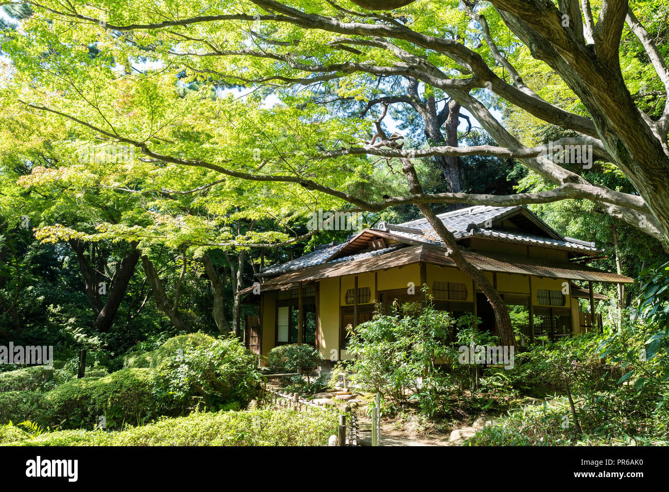 Tokyo Metropolitan Teien Art Museum, Minato-Ku, Tokyo, Japan Stock ...