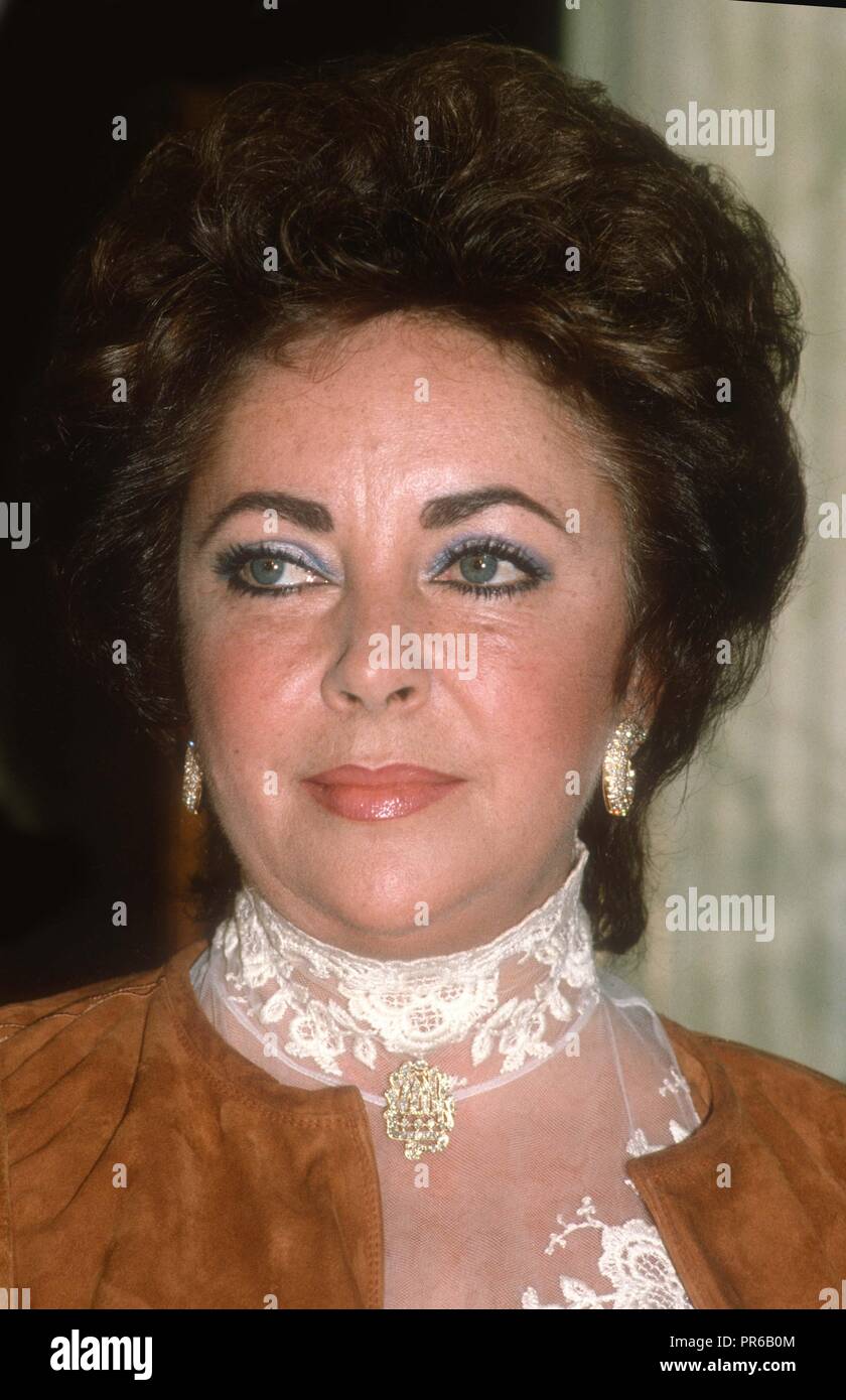 Elizabeth Taylor Photo By Adam Scull/PHOTOlink/MediaPunch Stock Photo ...