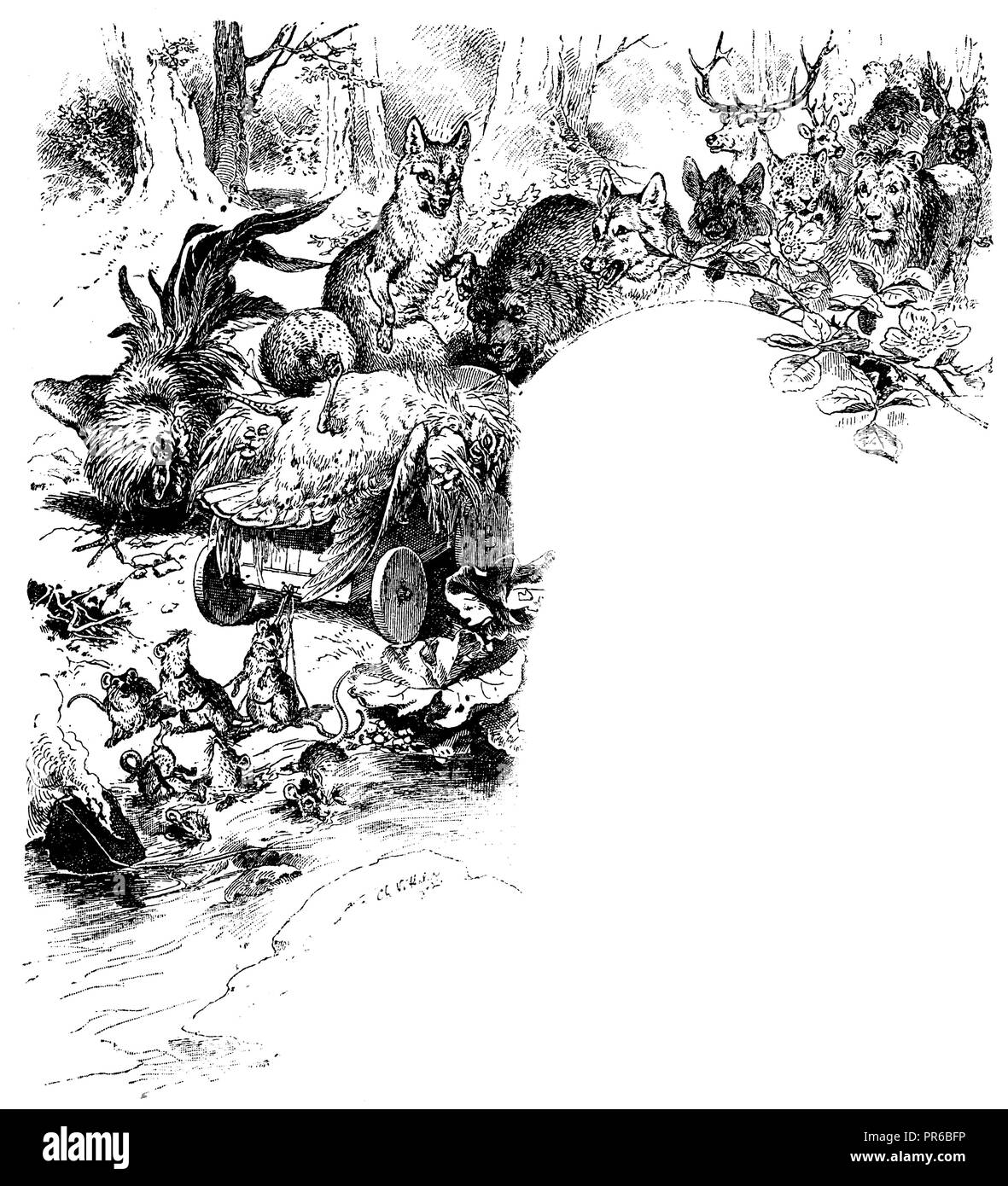 Brothers grimm fairy tale illustration Black and White Stock Photos ...